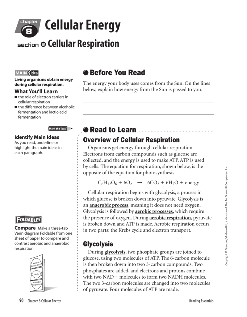 Reading Essentials Cellular Respiration Reading Essentials Cellular Respiration