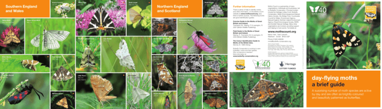 day-flying moths - Butterfly Conservation