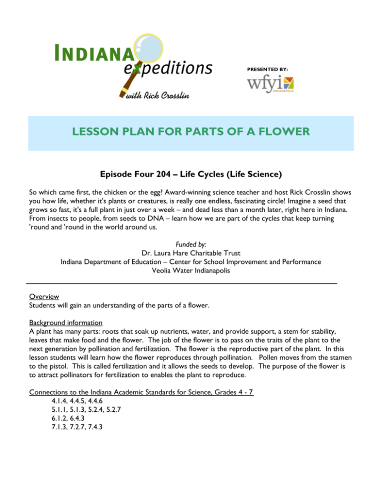 Lesson Plan For Parts Of A Flower
