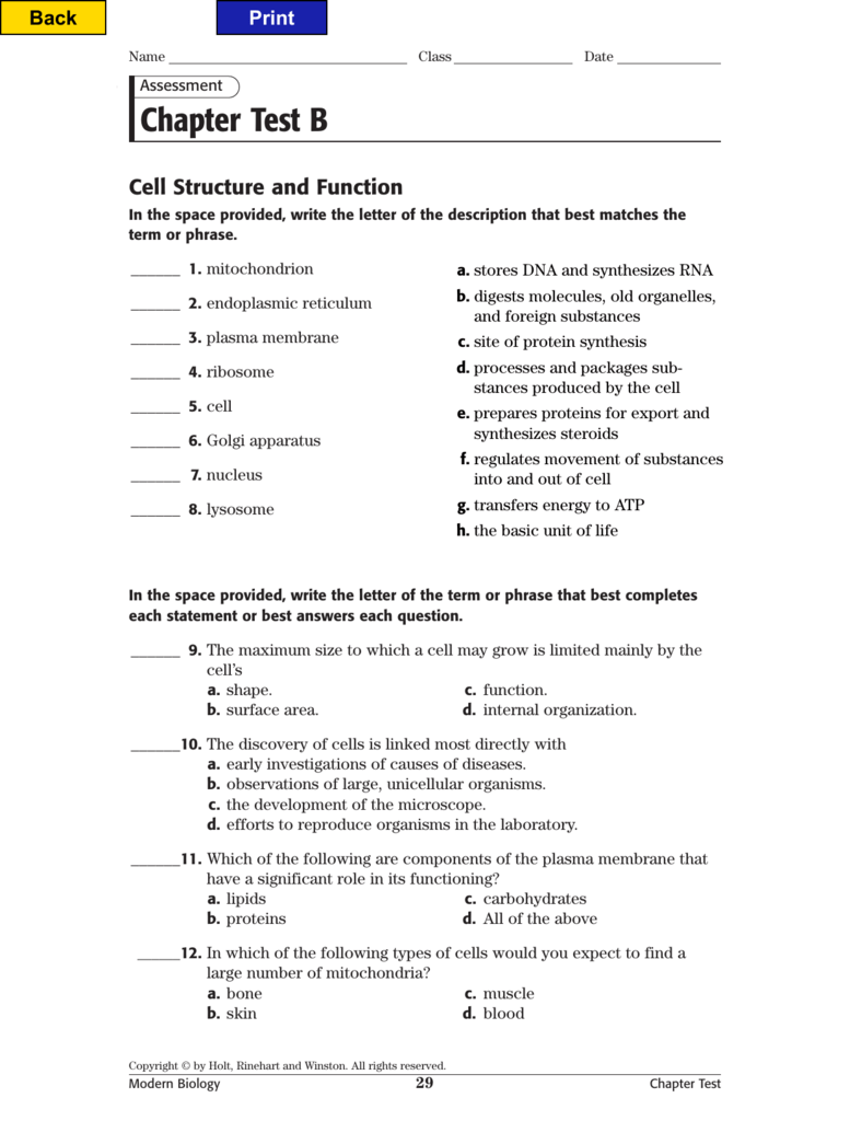 Chapter Test B
