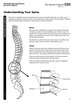 a FREE Lower Back Pain Information Sheet