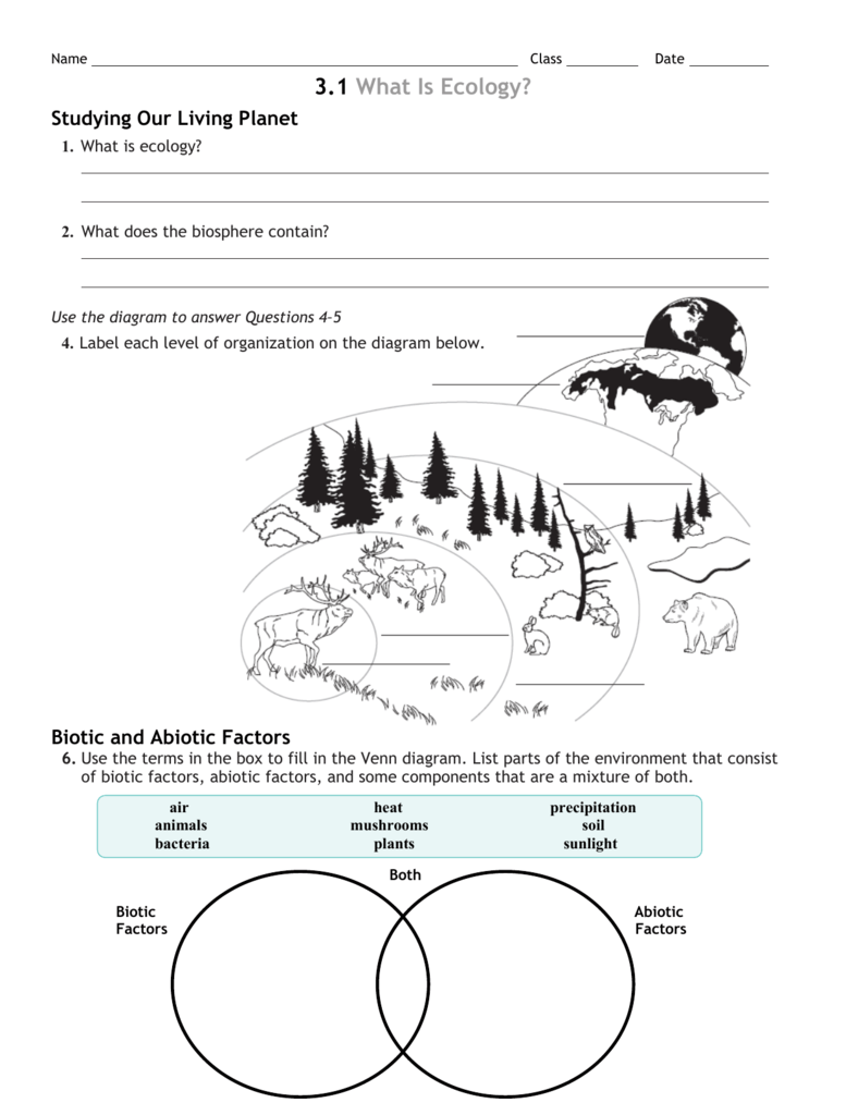3 Review Worksheet 3 Review Worksheet
