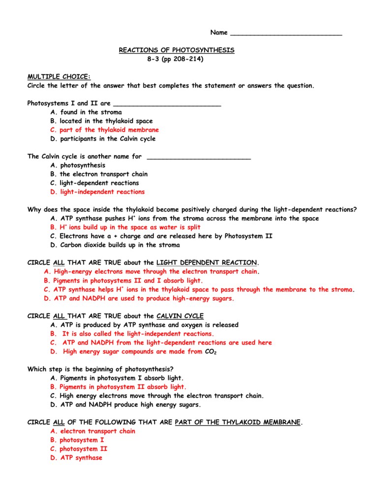 Rate Of Photosynthesis Worksheet TUTORE ORG Master Of Documents Rate Of Photosynthesis Worksheet TUTORE ORG Master Of Documents