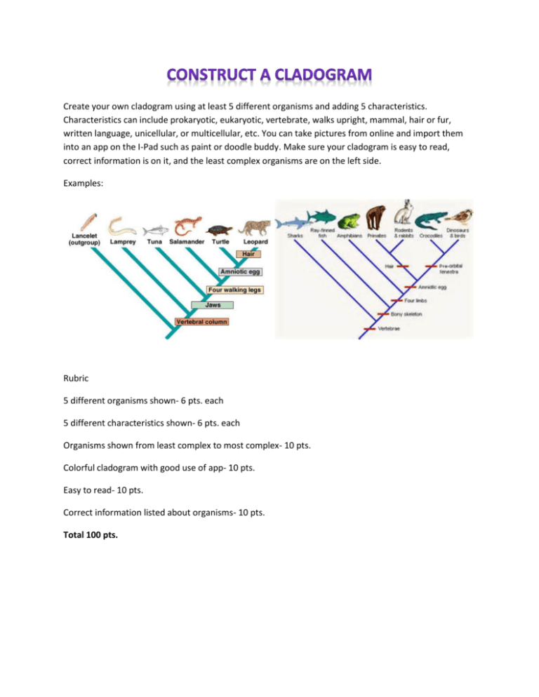 Create Your Own Cladogram Using At Least 5 Different Organisms And