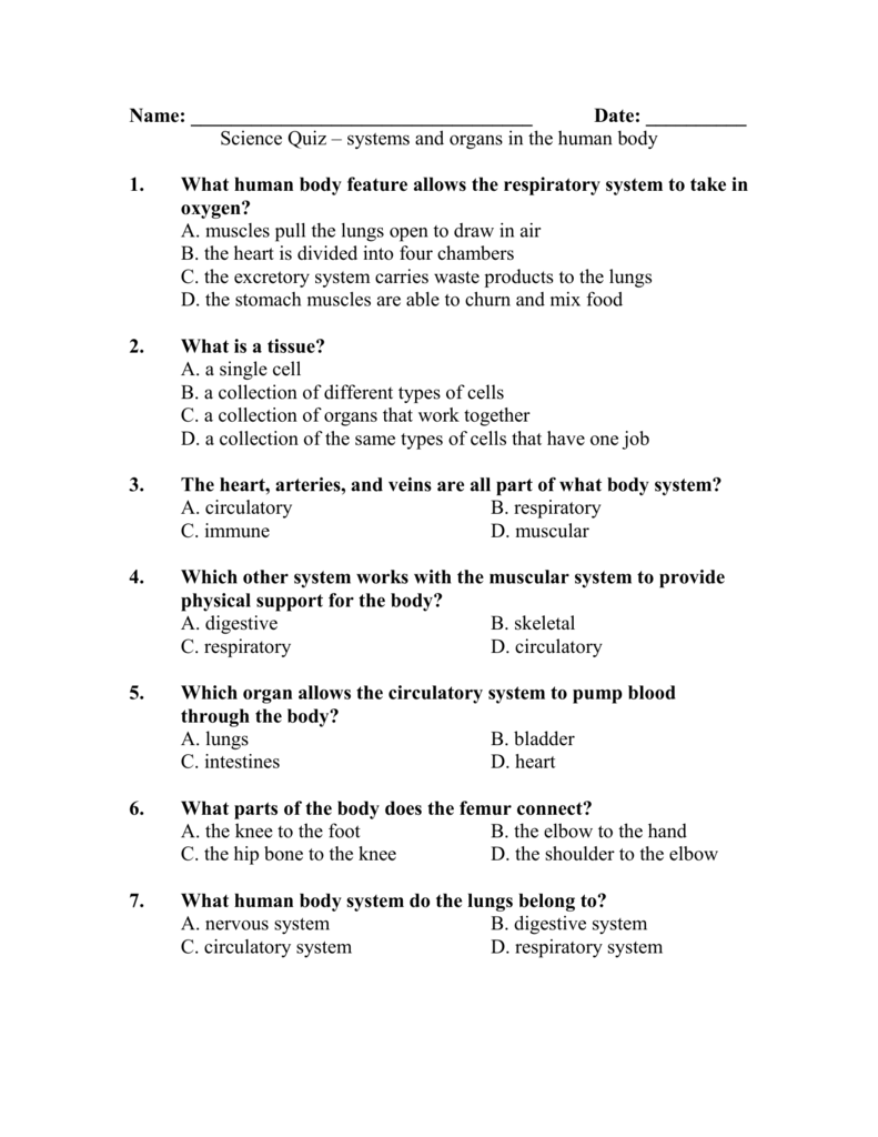 Human Body Test Human Body Test