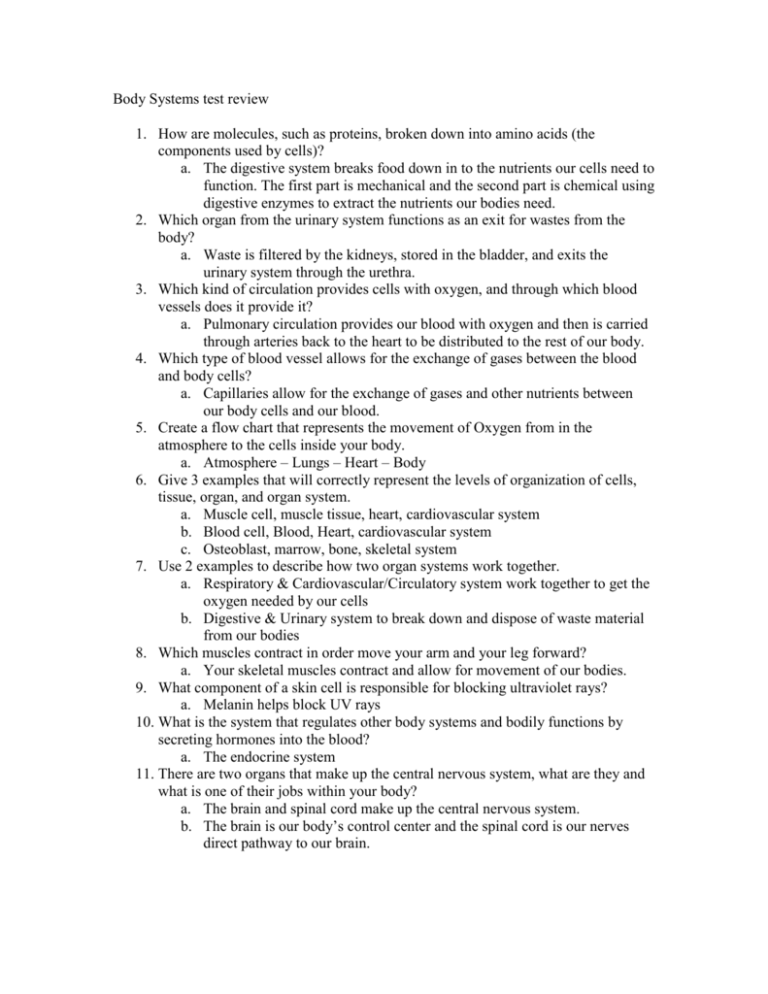 Body Systems Test Review Body Systems Test Review