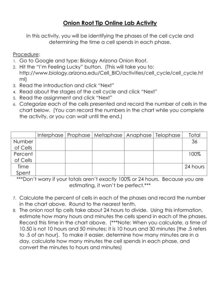 Onion Root Tip Online Lab Activity Onion Root Tip Online Lab Activity