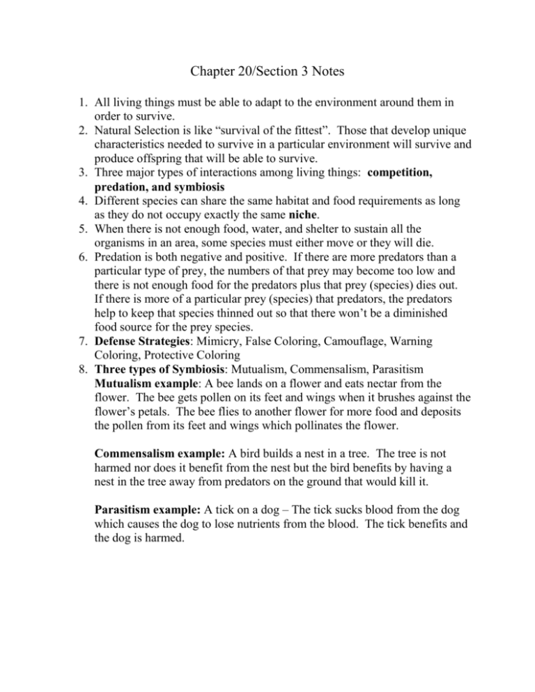 Chapter 20 Section 3 Notes