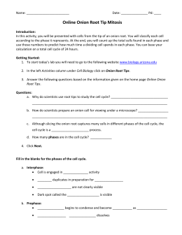 Online Onion Root Tip Assignment