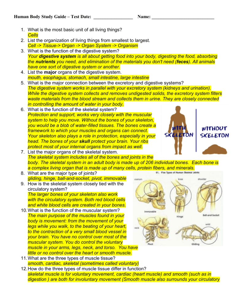 Unit 4 Human Body Study Guide