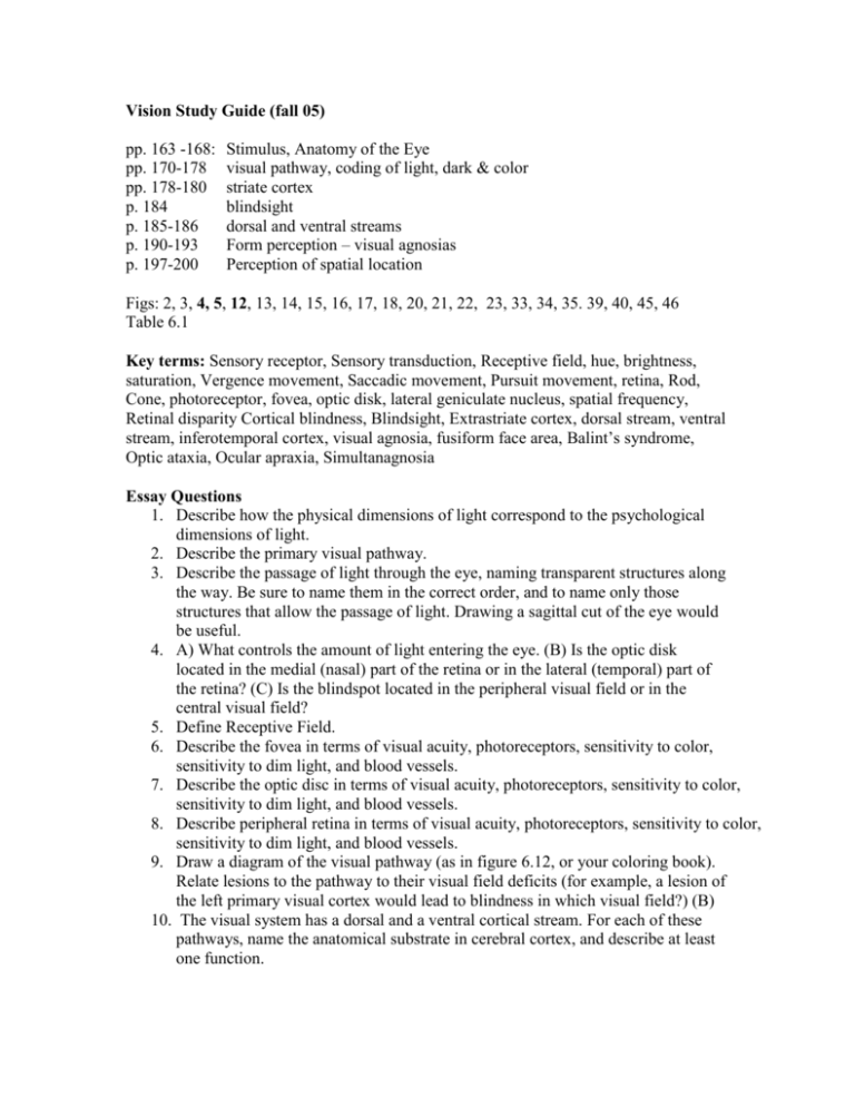 Study Guide
