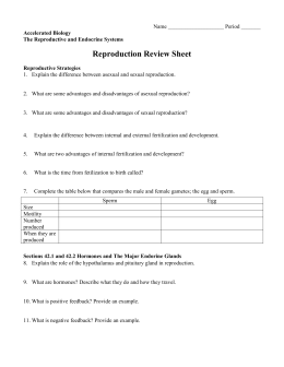 Human reproduction worksheet