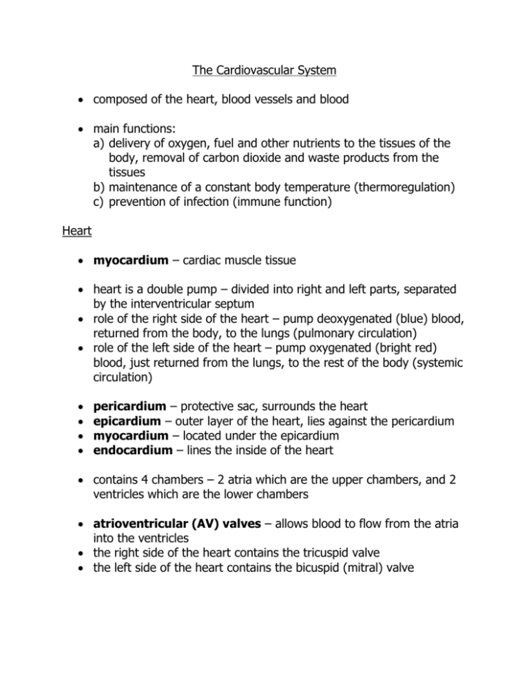 The Cardiovascular System The Cardiovascular System