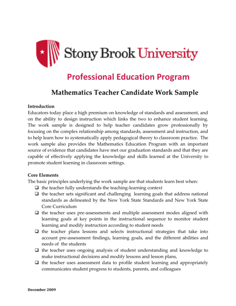 stony brook university professional education program