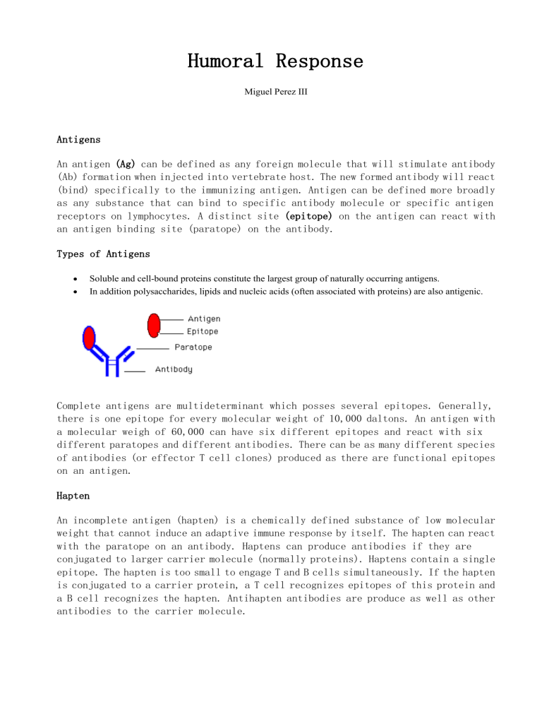 Humoral Response