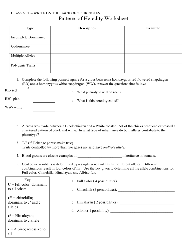 What Is Heredity Worksheet