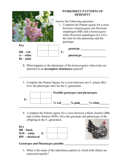 CO-DOMINANCE/INCOMPLETE DOMINANCE * Worksheet #2