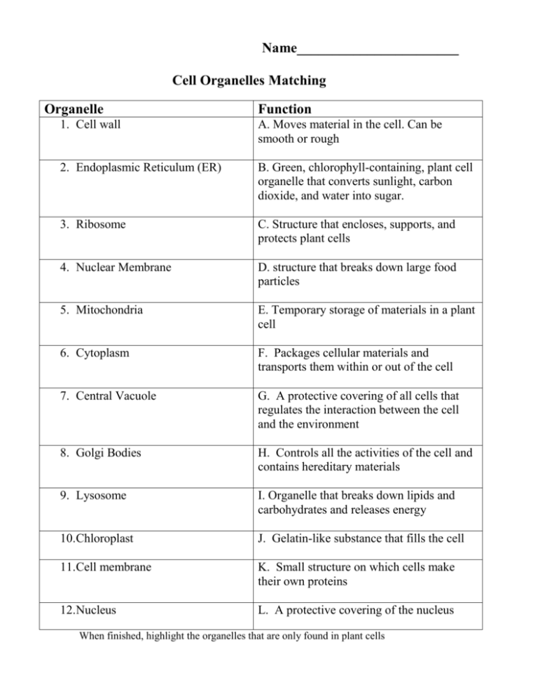 Cell Organelles Cell Organelles