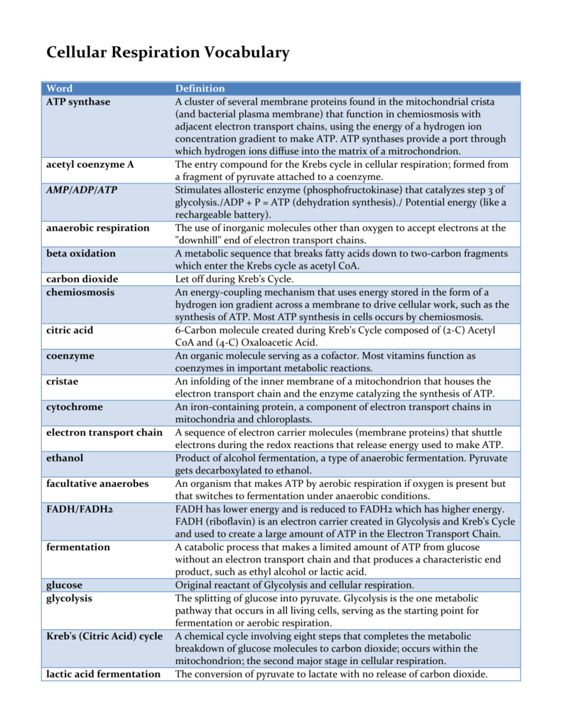 Cellular Respiration Vocabulary Cellular Respiration Vocabulary