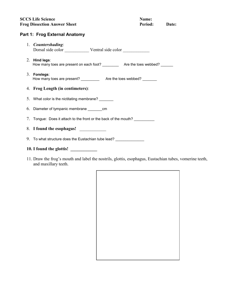 Frog Dissection Answer Sheet Frog Dissection Answer Sheet