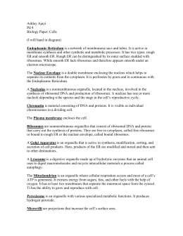 Cell Structure and Function Crossword puzzle