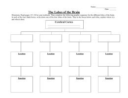 Brain Function and Mnemonics