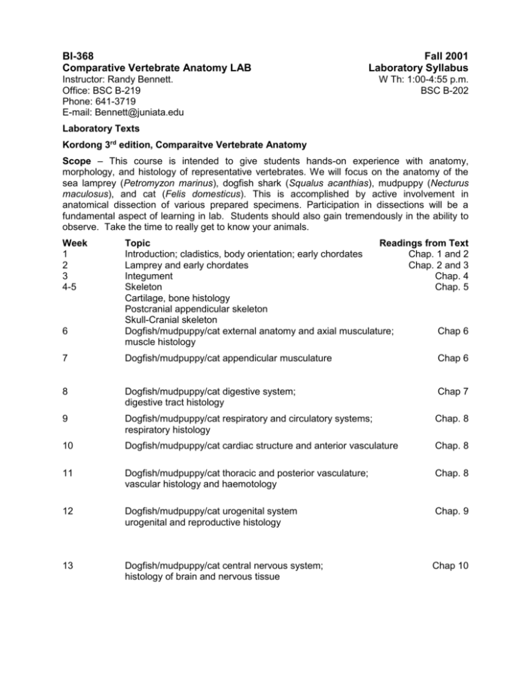 Word Document