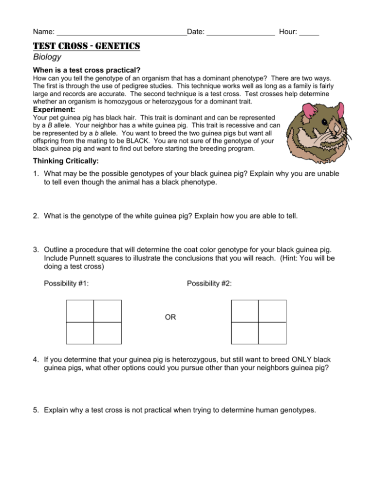 When Is A Test Cross Practical