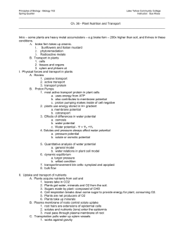 The Movement of Water in Plants Worksheet