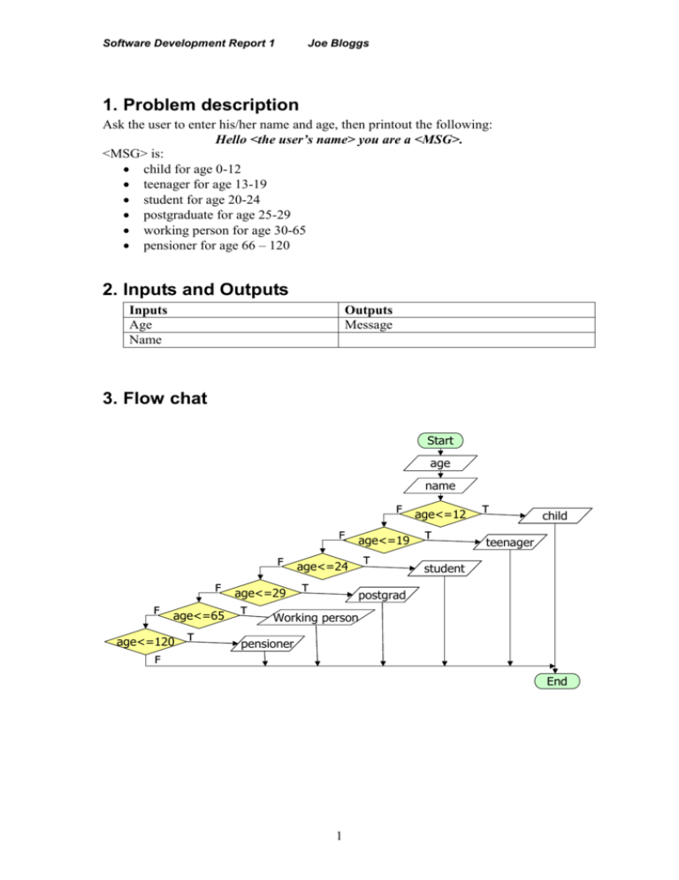 1 Problem Description