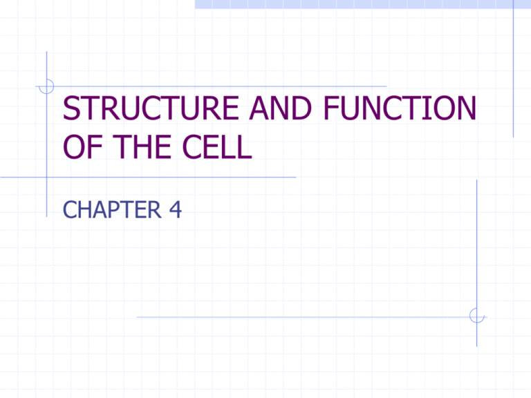 Cell Structure Function Notes