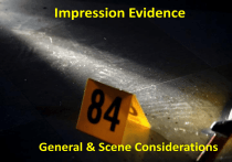Impression Evidence: Forensics Presentation