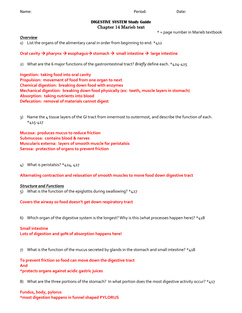 Digestive Study Guide Answer Key Digestive Study Guide Answer Key