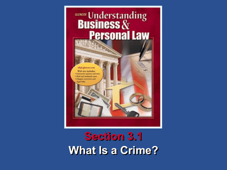 Section 3 1 Understanding Business And Section 3 1 Understanding Business And
