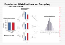 Sampling Distributions: P-hat Explained