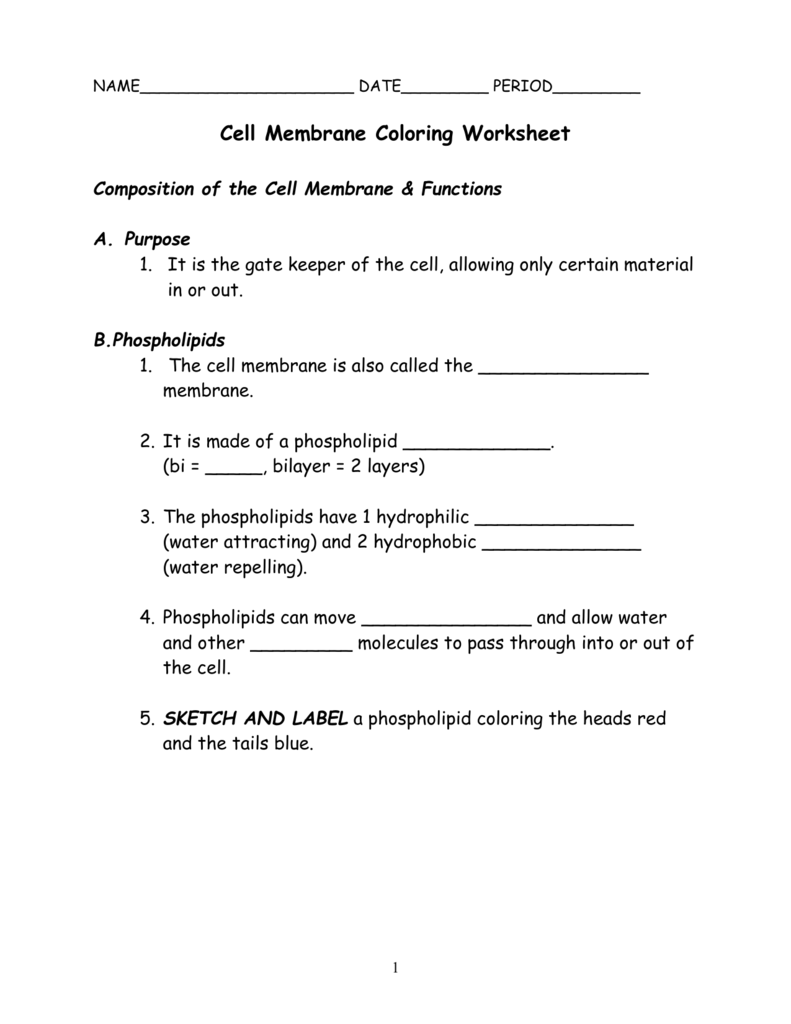 Cell Membrane Coloring Activity Answer Key Tramadol Colors
