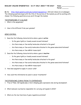 Epigenetics Worksheet