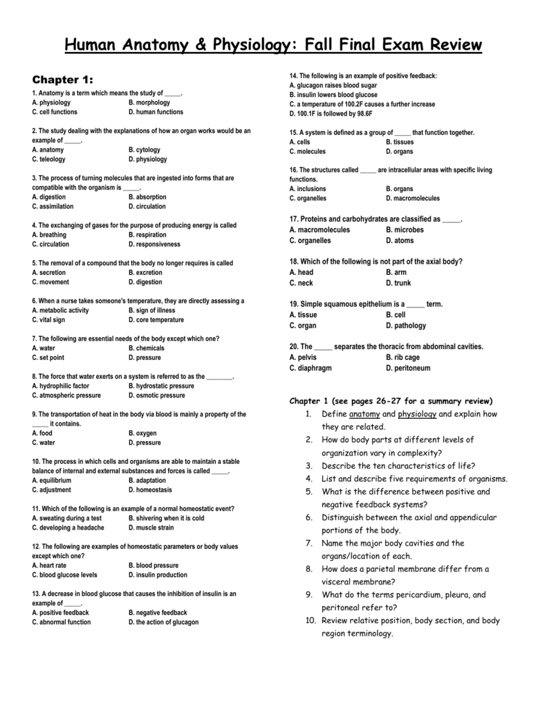 Human Anatomy Physiology Fall Final Exam Review Human Anatomy Physiology Fall Final Exam Review