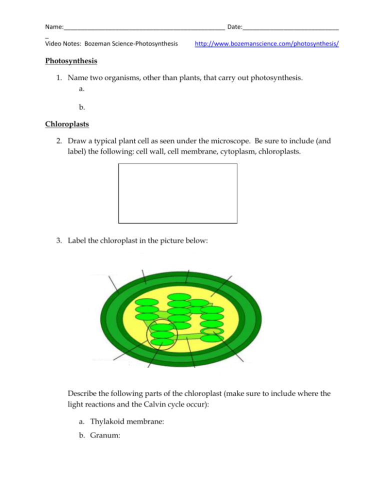 Video Guide Bozeman Science Biology Video Guide Bozeman Science Biology