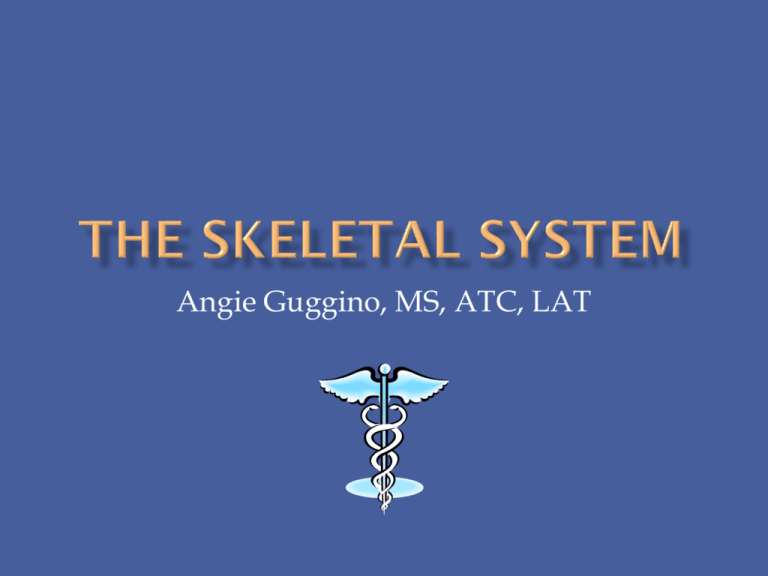 The Skeletal System ppt