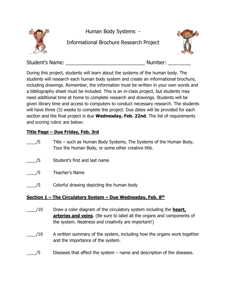 Human Body research project Human Body research project