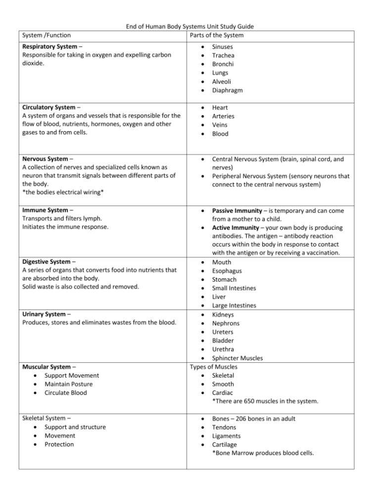 Unit 2 Study Guide
