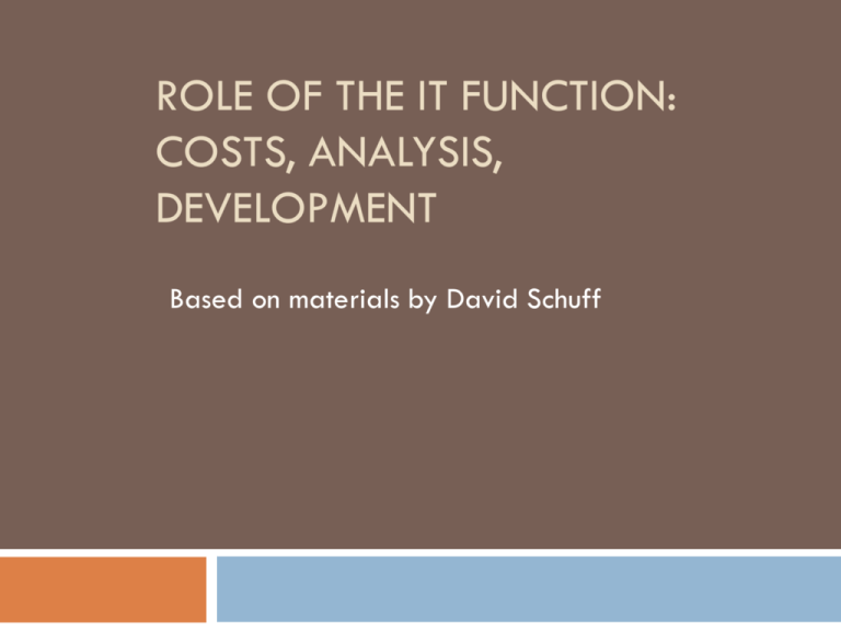 ROle Of IT Function Analysis Versus Development