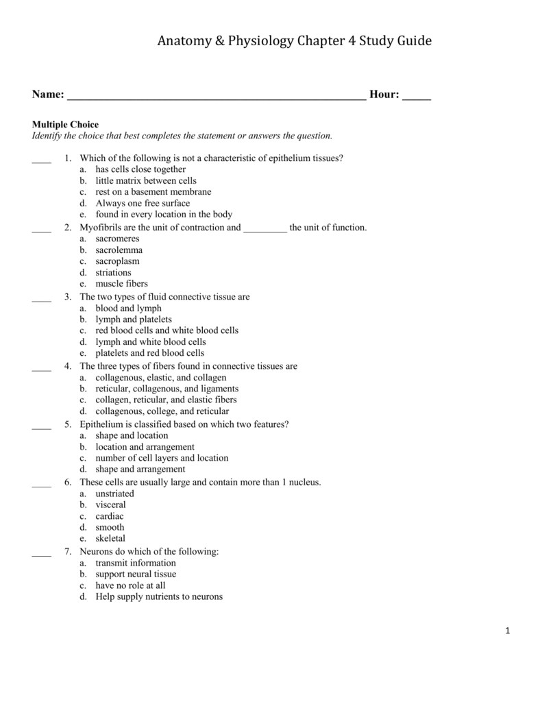 Anatomy Physiology Chapter 4 Study Guide