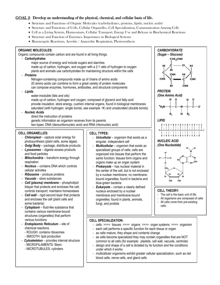 Biology EOC Reference Biology EOC Reference