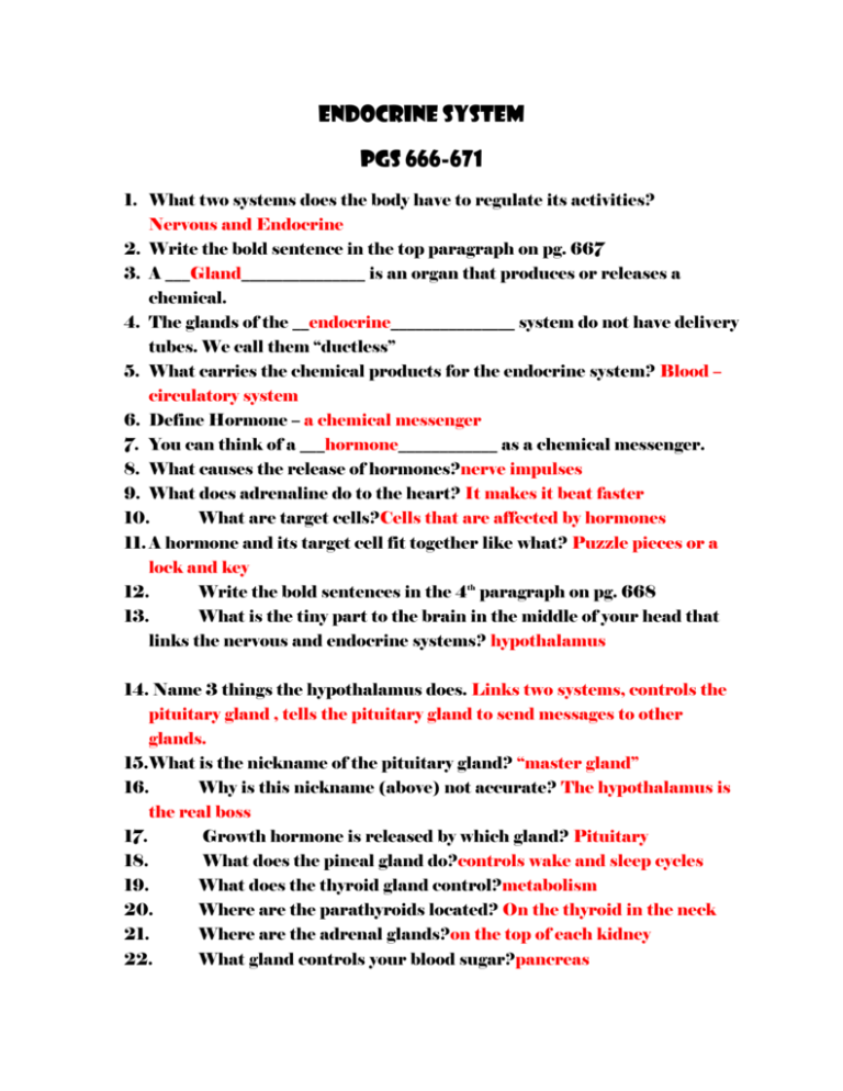Endocrine System Worksheet Glands Hormones Functions