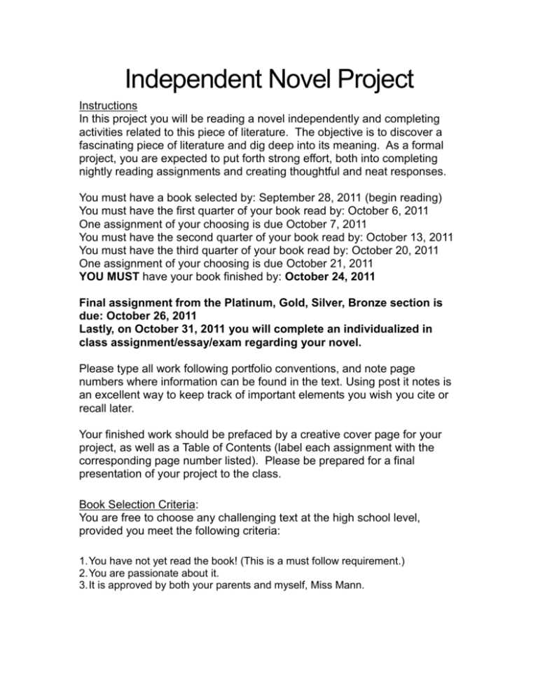Independent Novel Project