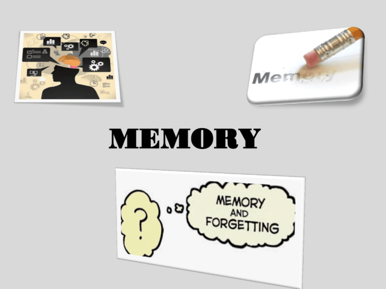 Long Term Memory