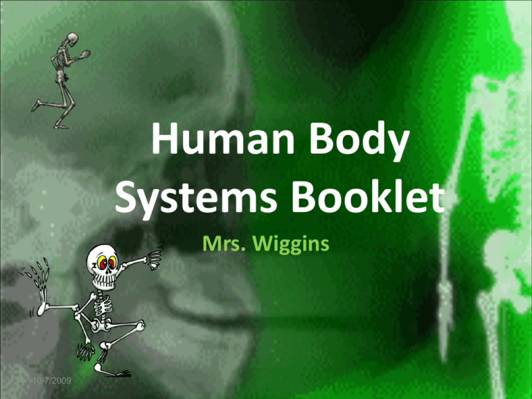 Human Body Systems MrsWigginsScience Human Body Systems MrsWigginsScience