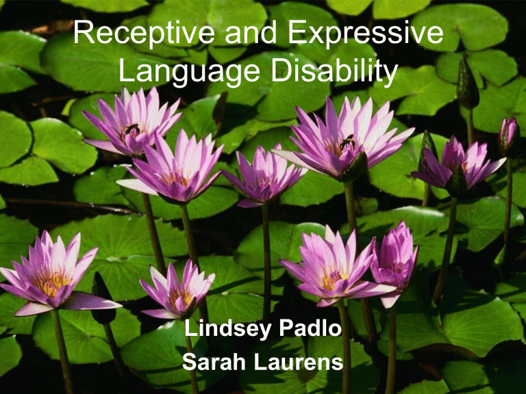 Receptive And Expressive Language Disability Receptive And Expressive Language Disability